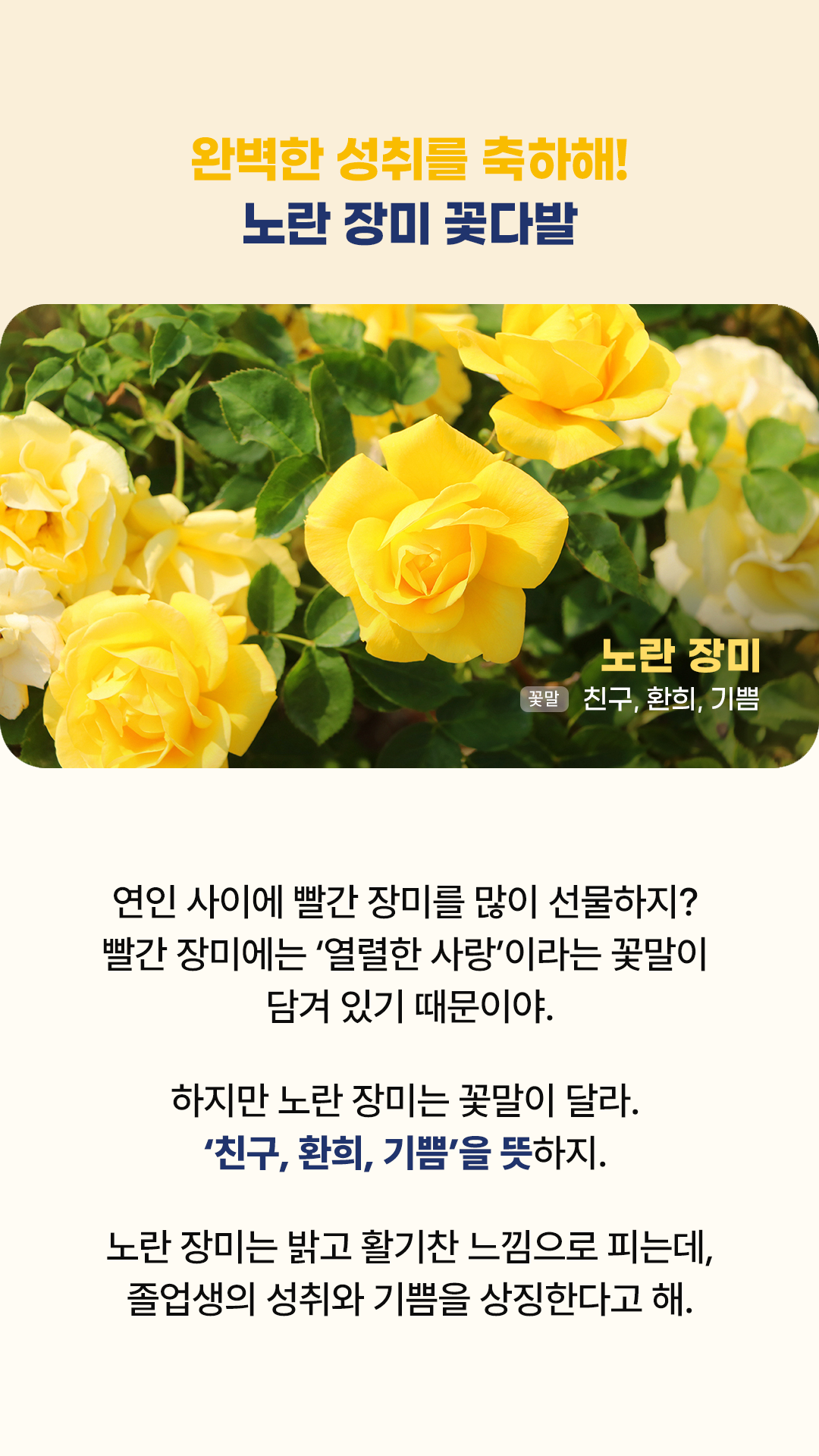 프리지아 꽃말은 꽃말로 본 졸업식 생화 꽃다발 추천 네이버 포스트