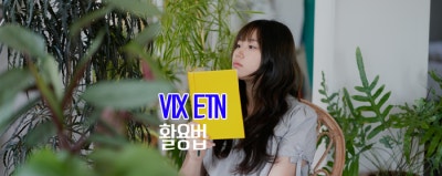 VIX ETN 활용법 : 네이버 포스트